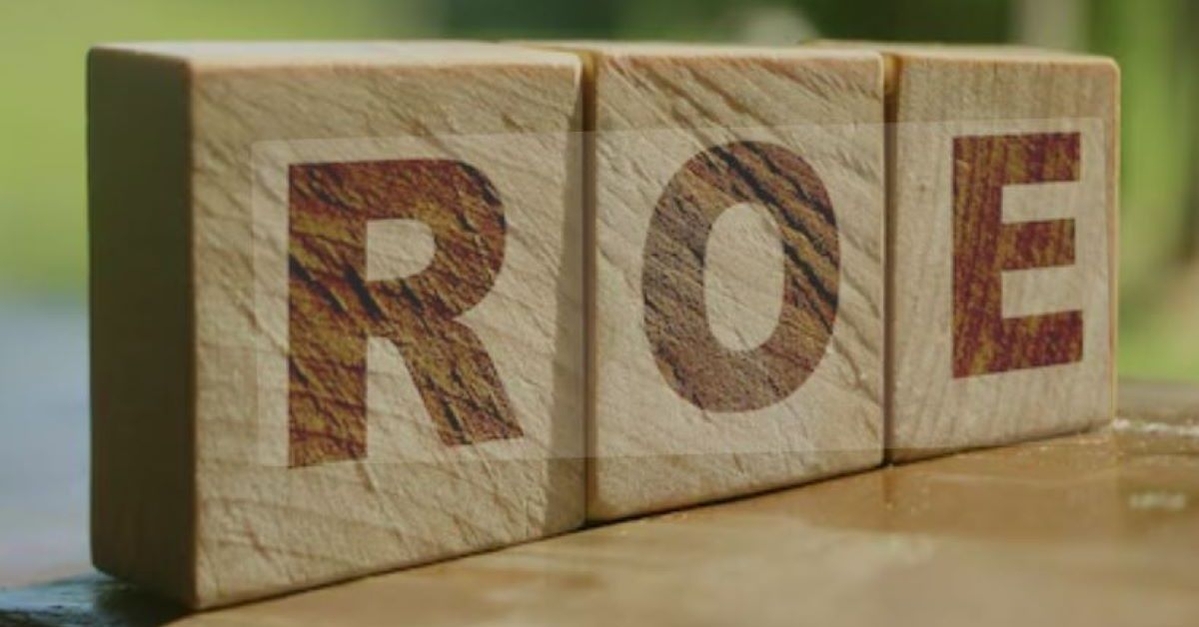 Return on Equity (ROE): Definition, Formula & Examples